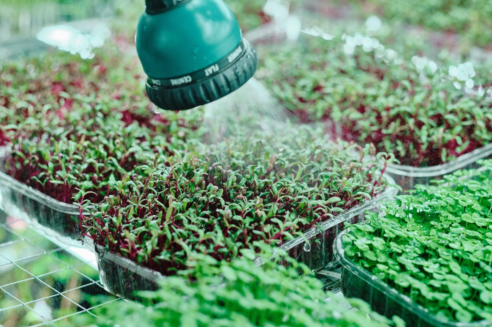 Vertical farming grows in popularity | Microgreens World