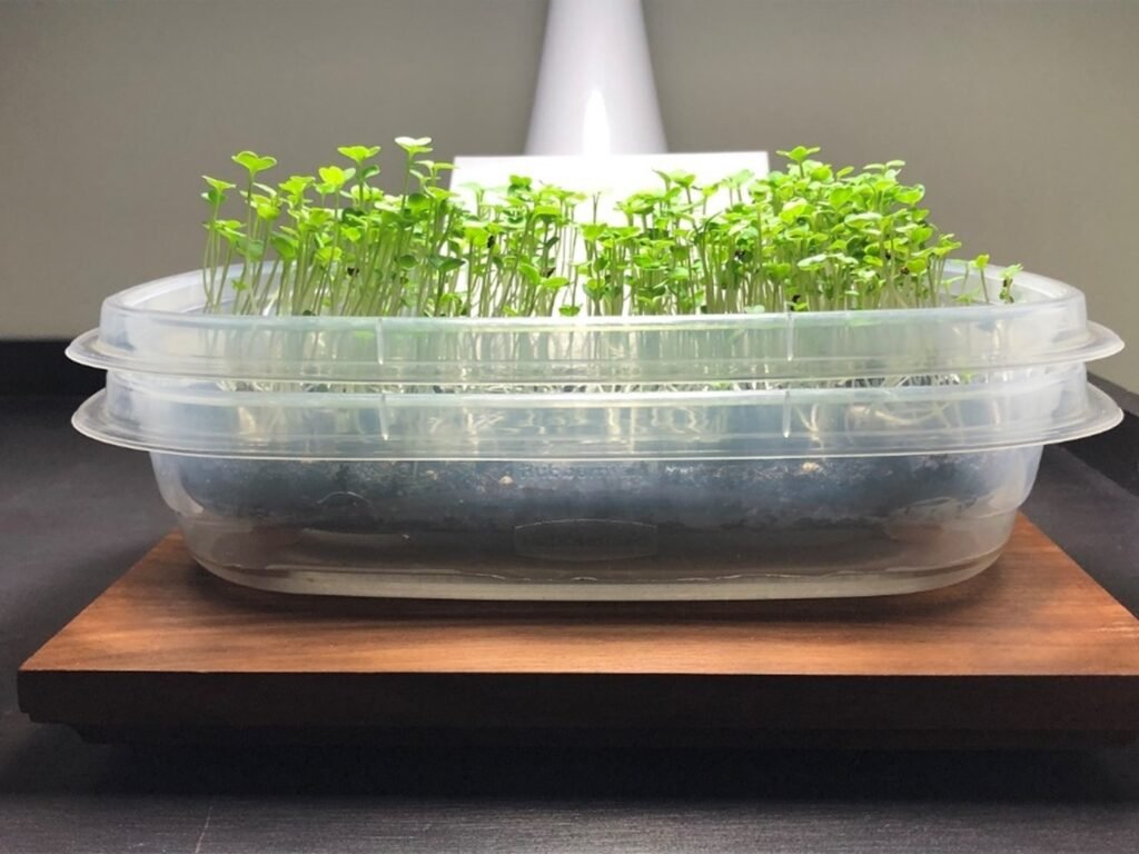 The Easy Guide® To Growing Microgreens at Home