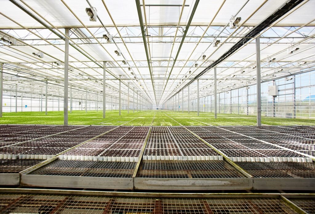 Unleashing the Power of Microgreens in Permaculture