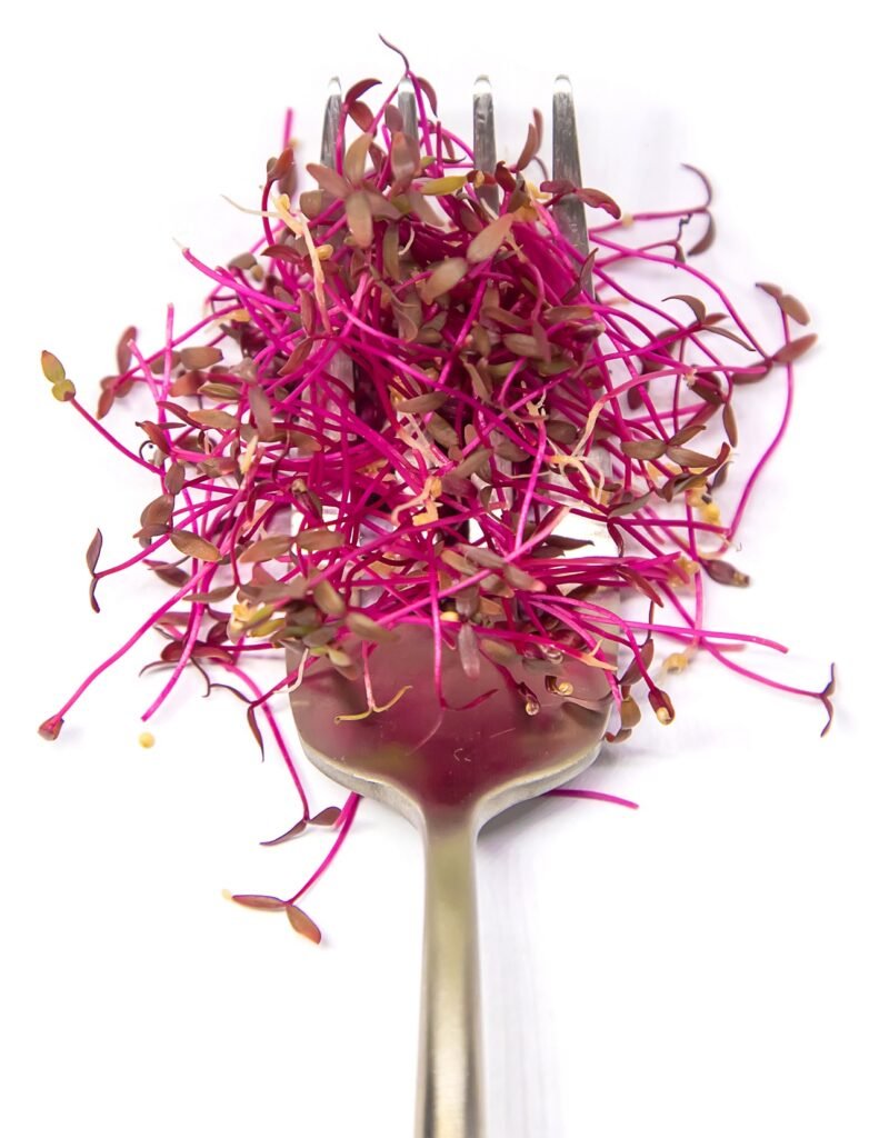 Amaranth Microgreens: Tiny Greens, Big Health Benefits