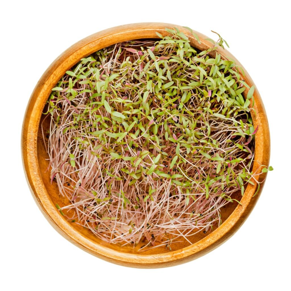 Amaranth Microgreens: Tiny Greens, Big Health Benefits