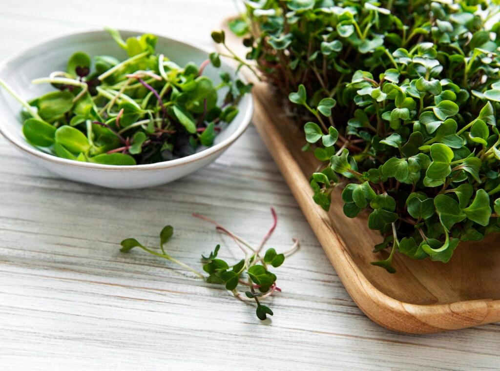 Radish Microgreens: The Superfood Chefs and Health Enthusiasts Love
