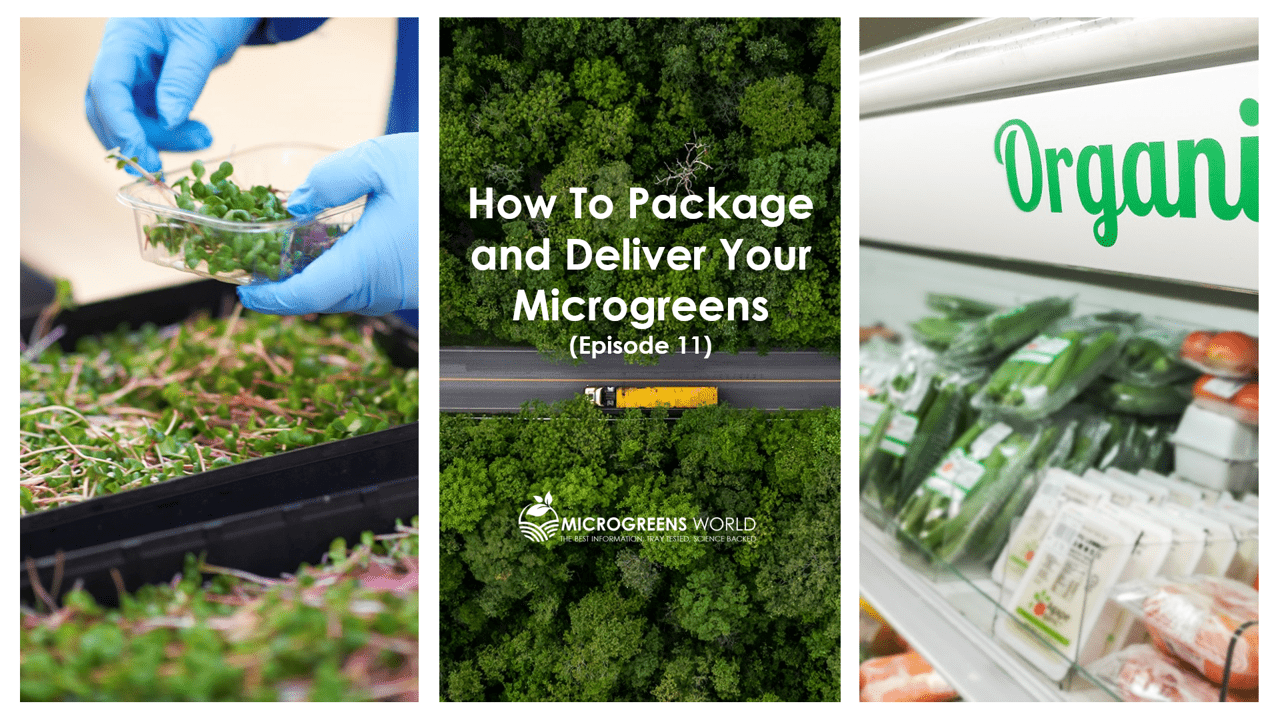 How to Package and Deliver Your Microgreens (Episode 11)