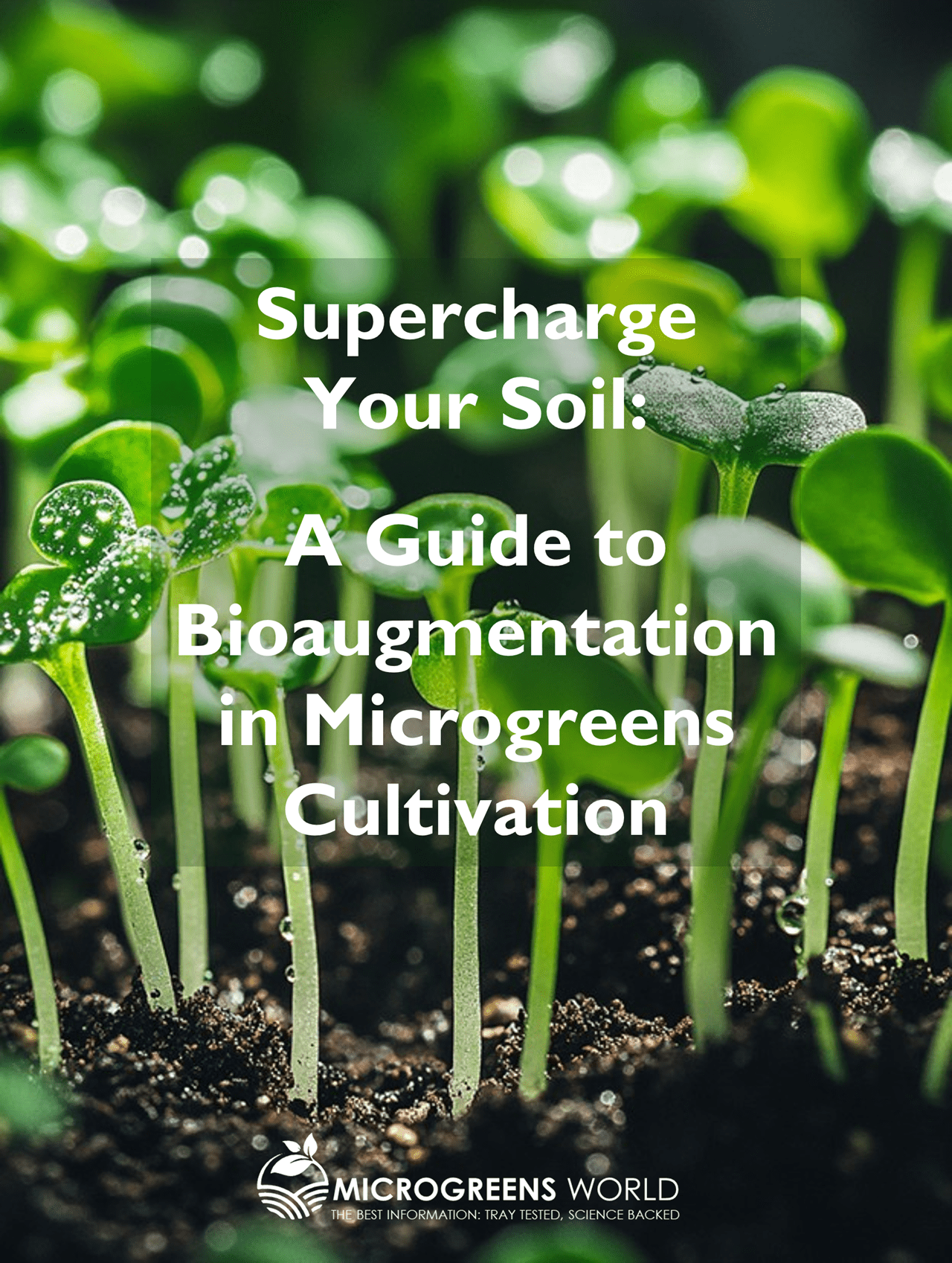 Supercharge Your Soil: A Guide to Bioaugmentation in Microgreens Growing